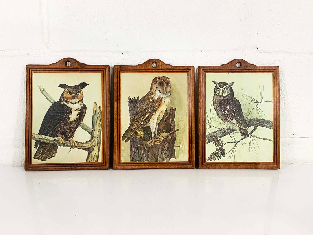 Vintage Owl Prints Set of 3 E. Rambow Screech 70s Art | Check Engine ...