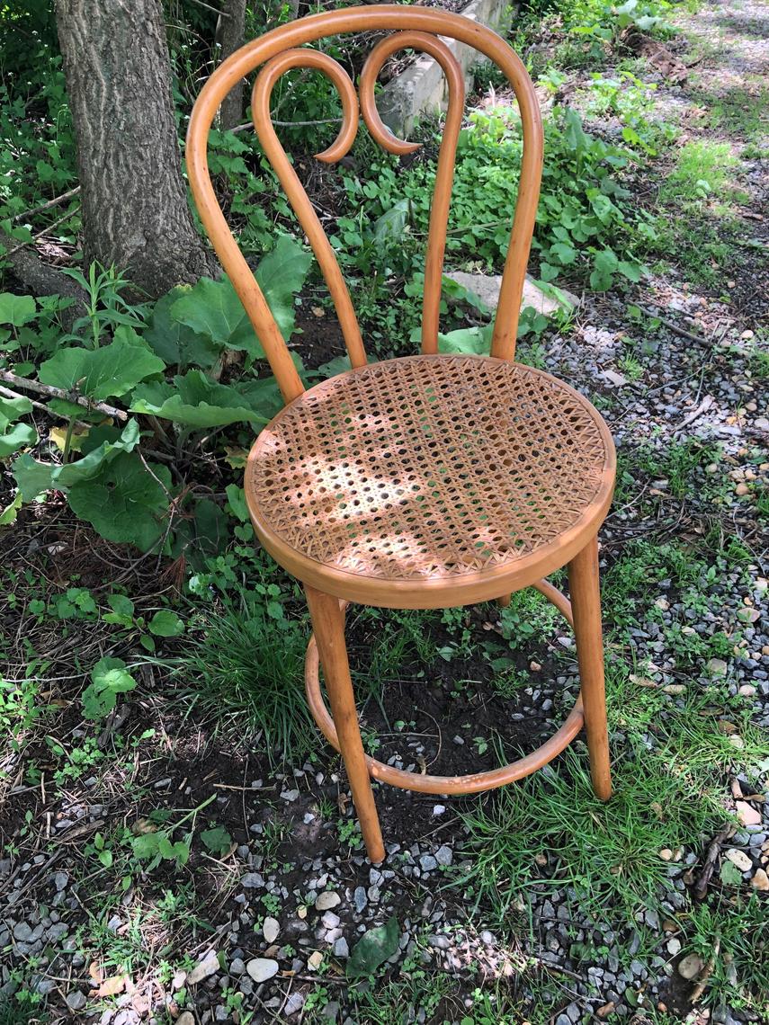 Pair of Italian Bentwood Counter Stools | Chartreuse & Co. | Frederick, MD