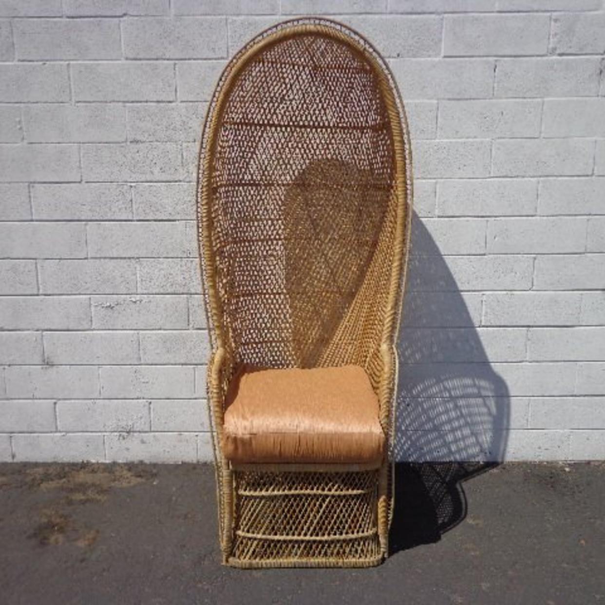 Peacock Chair Dome Canopy Porter Fan Vintage Bohemian | Deja Vu Decors ...