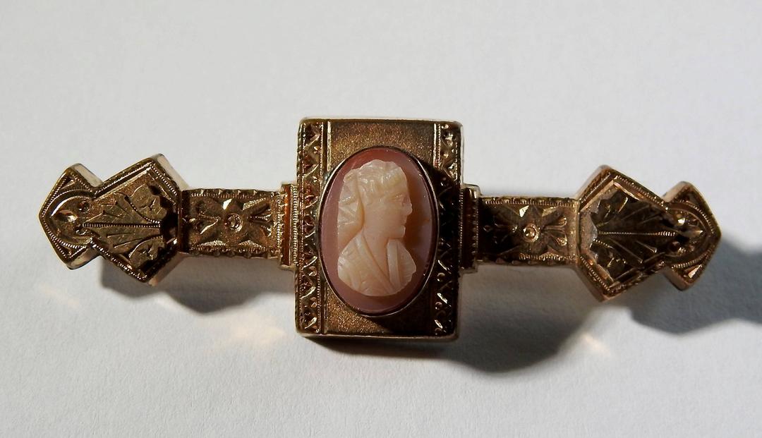 Victorian Gold Filled Cameo Bar Pin | Legendary Beast | U Street ...