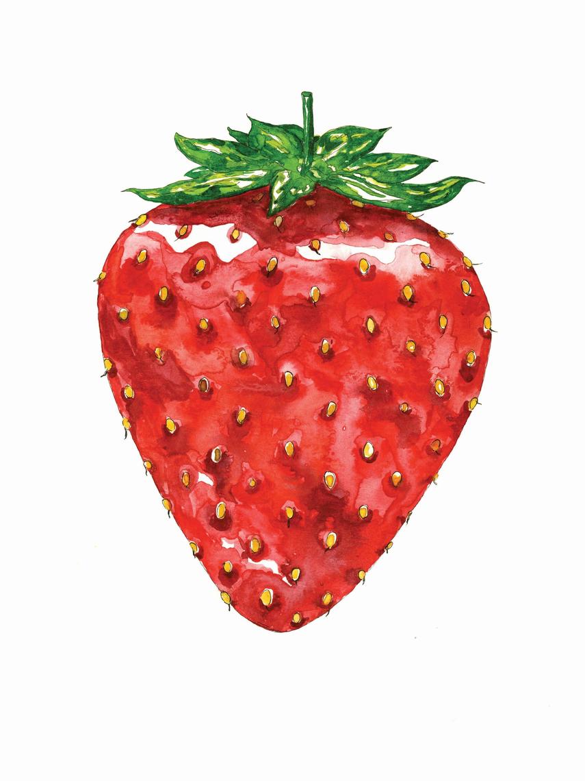 Strawberry Watercolor Art Print | Marcella Kriebel Art + Illustration ...