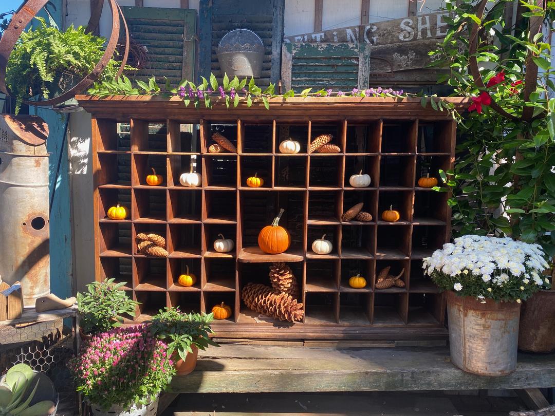 Cubby Shelf | Lucketts Store | Leesburg, VA