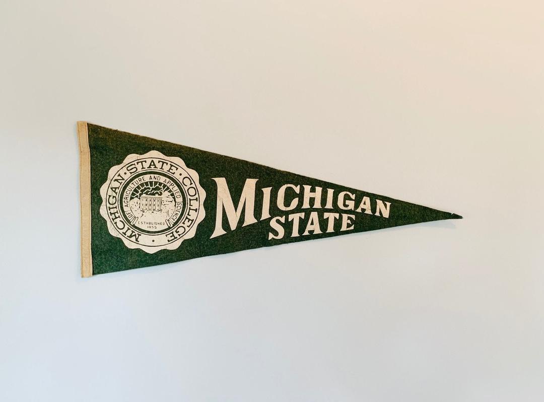Vintage Michigan State University Pennant | Delve Chicago | Chicago, IL