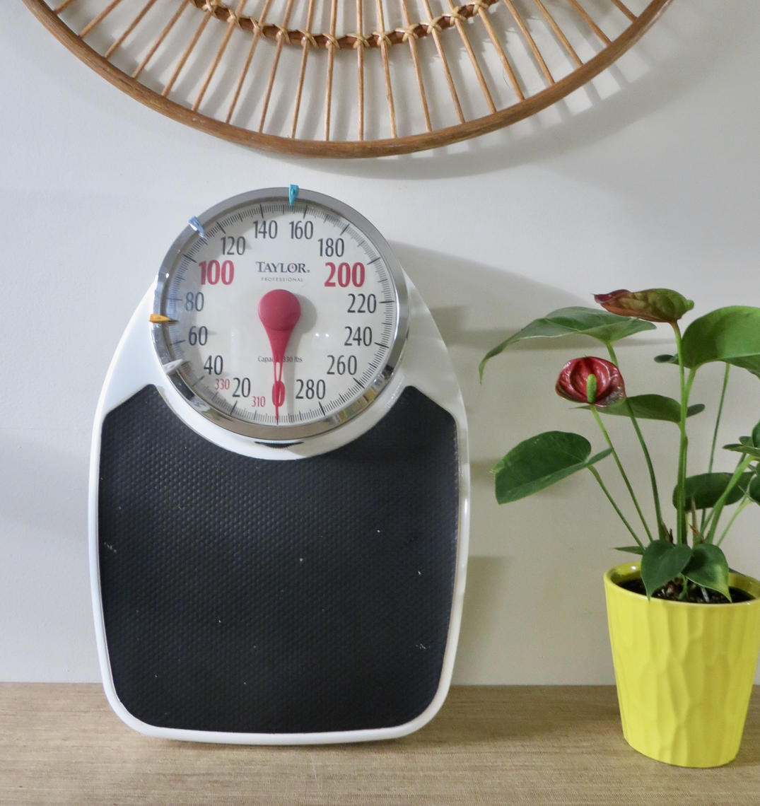 Vintage Bathroom Scale - Taylor Professional Weight Scale - Retro ...