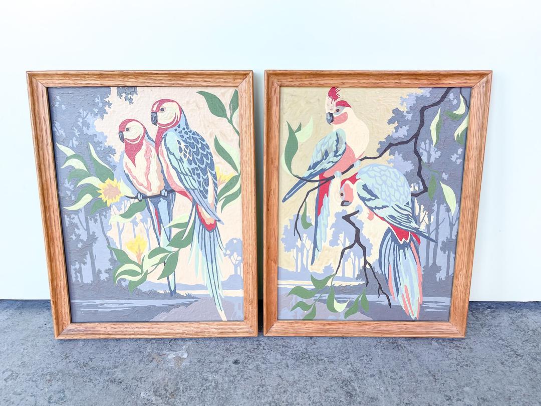 Pair of 1970s Paint by Number Parrot Art | Palm Beach Regency | Lake ...