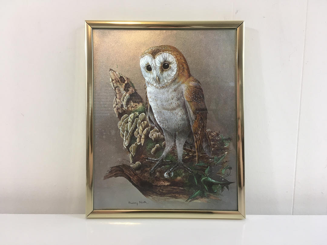 Vintage Owl Iridescent Color Print Framed Optical Print Audrey North ...
