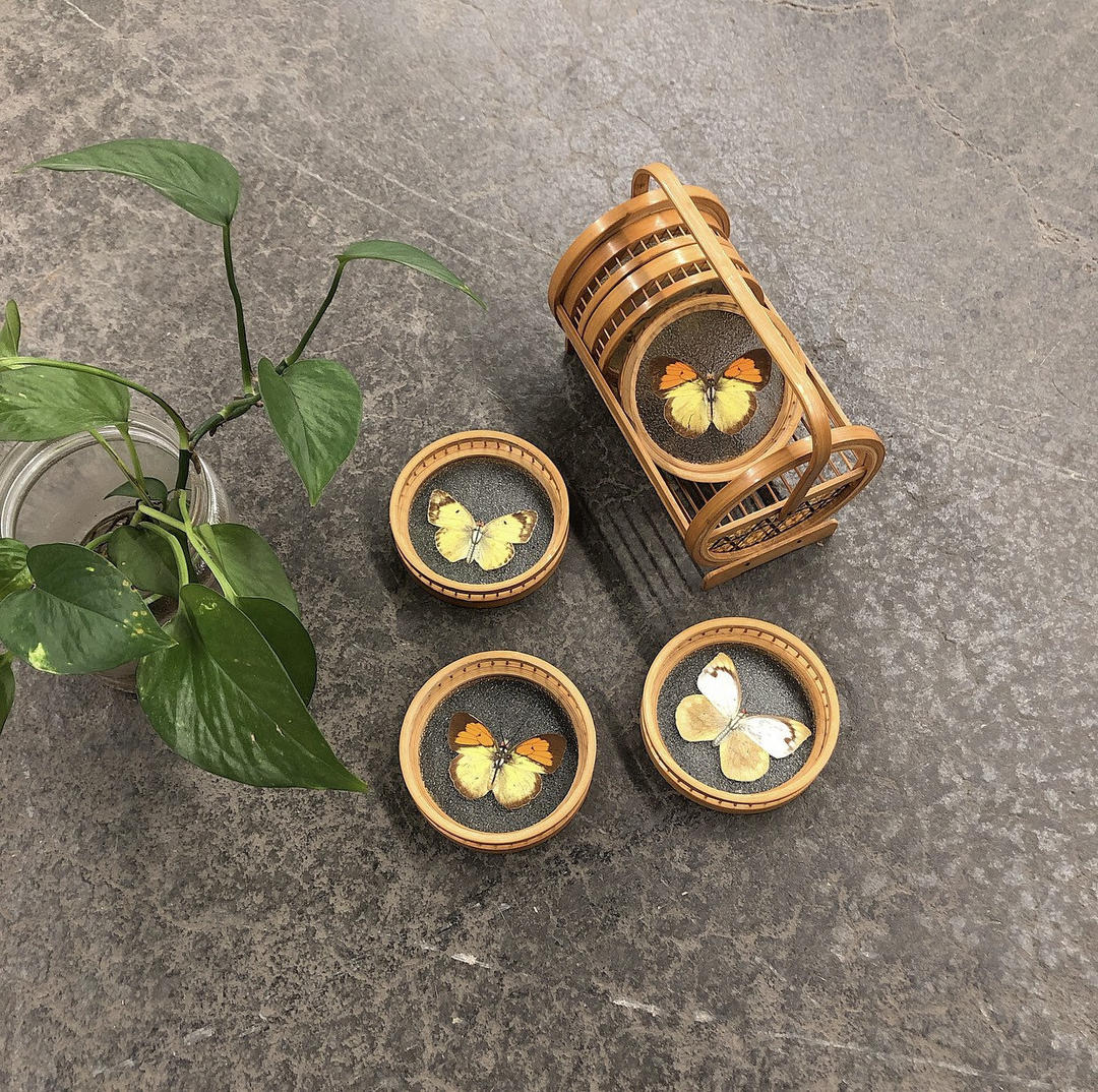 Vintage Coaster Set Retro 1970s Dried + Pressed + Butterflies + Bamboo ...