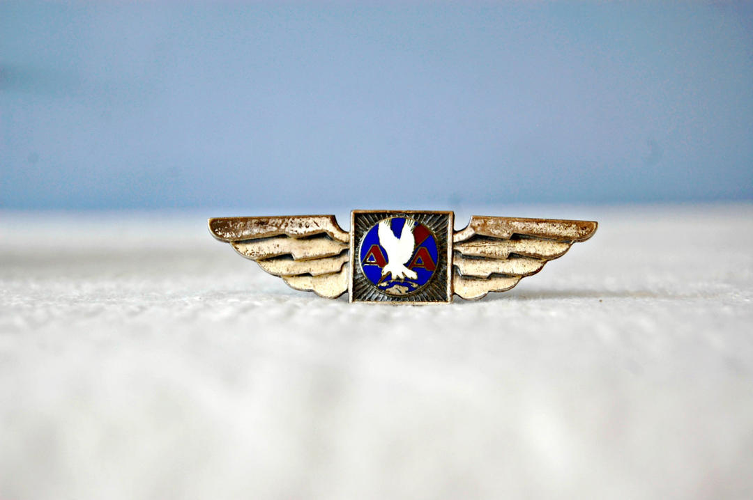 American Airlines Silver Bird Pin Flying Brooch Flight Pin Bird ...