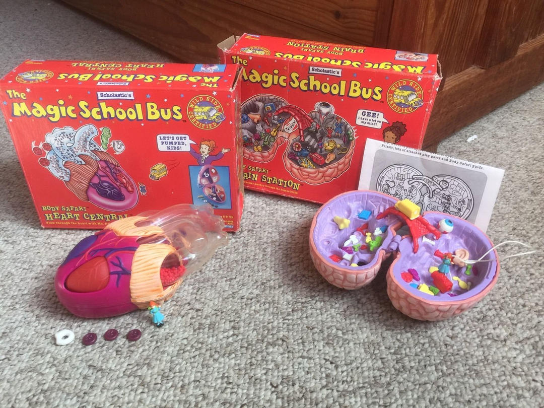 Vintage Magic School Bus Brain and Heart Toy Lot, w/ | Vintage Goofball ...