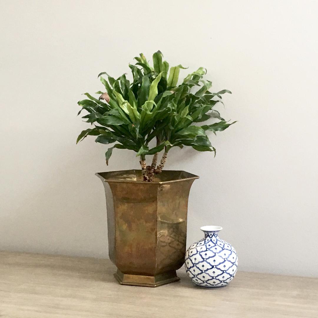 Brass Hexagonal Planter Asian Brass Indoor Plant Pot Chinoiserie Decor ...