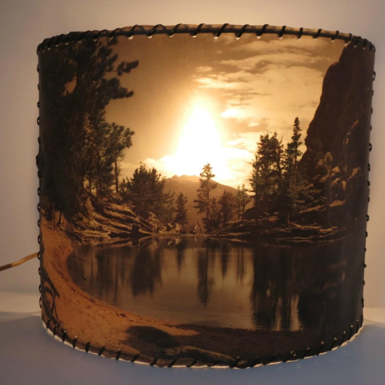 Vintage TV Lamp / Curved Fiberglass Shade / Mountain Scenery | Owl in ...