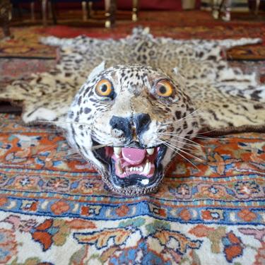 Authentic Animal Skin Rugs