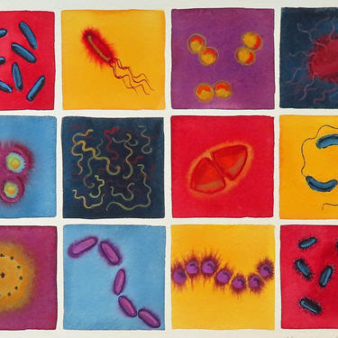 Microbial Riches - original watercolor painting of bacteria ...