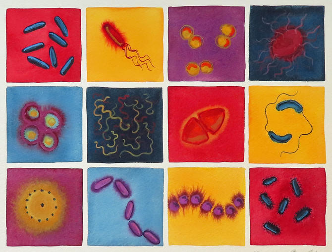 Microbial Riches - original watercolor painting of bacteria ...