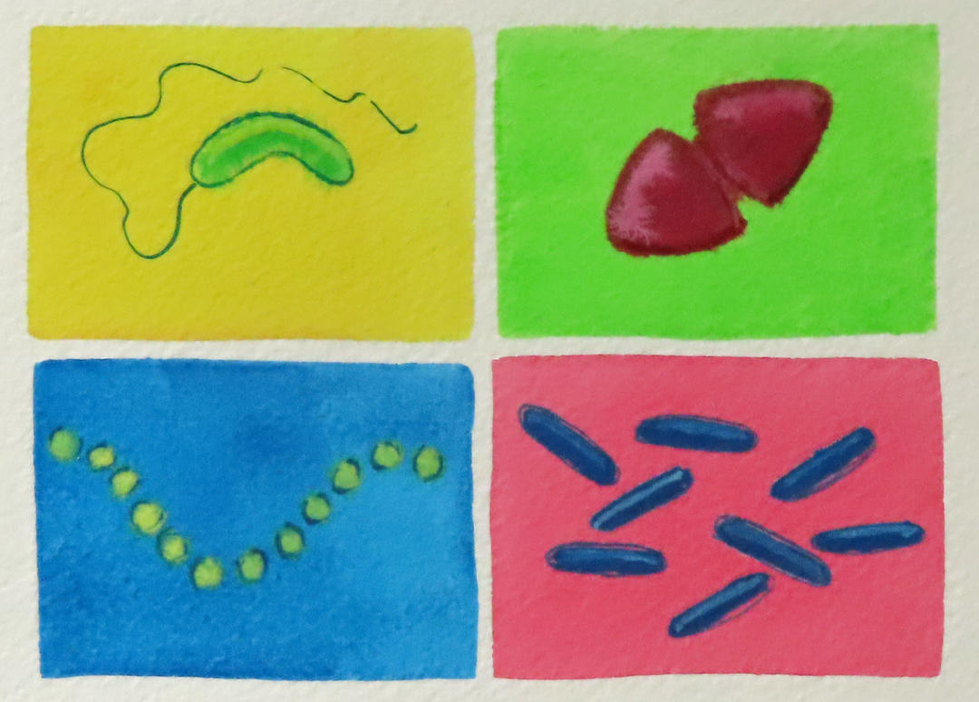Pastel Microbes - original watercolor painting - Bacteria Art ...