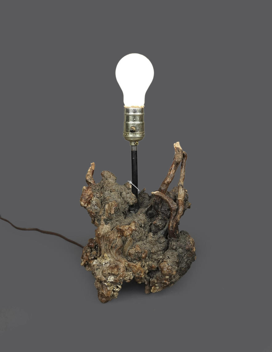 Mid Century Wooden Root Lamp MCM Modern Driftwood Wood Lamp | Vintage ...