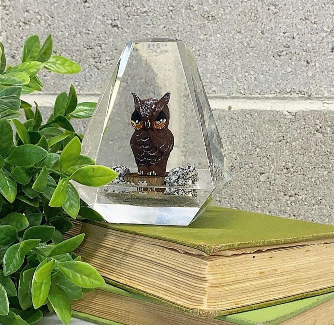 Vintage Owl Paperweight Retro 1970s Bohemian + Clear Resin + Nocturnal ...