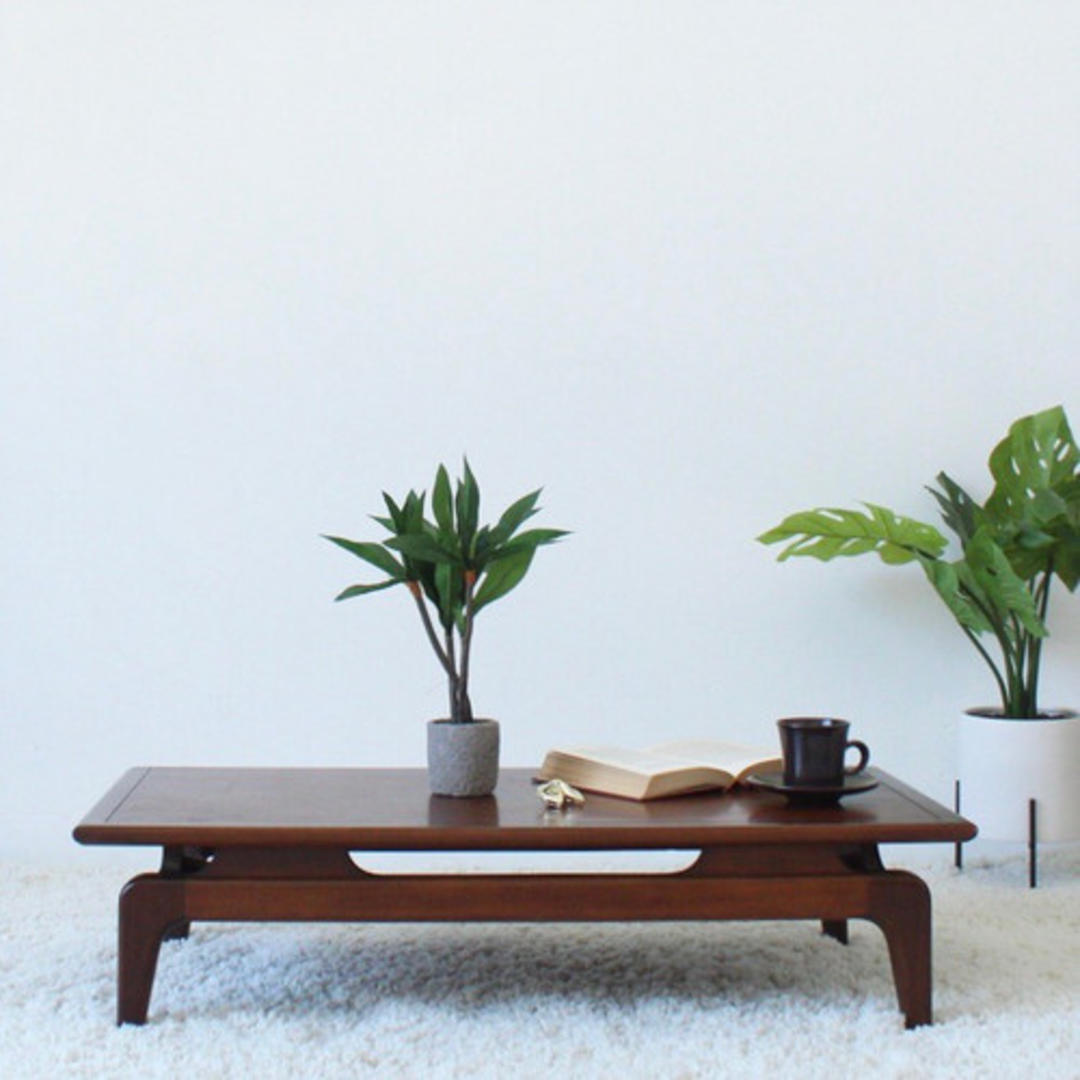 Vintage Low Profile Coffee Table | Sunbeam Vintage | Highland Park ...