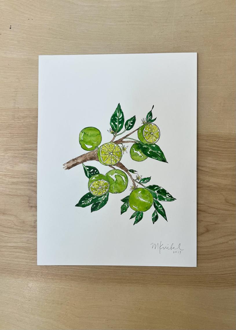 Limes Origional Watercolor Painting | Marcella Kriebel Art ...