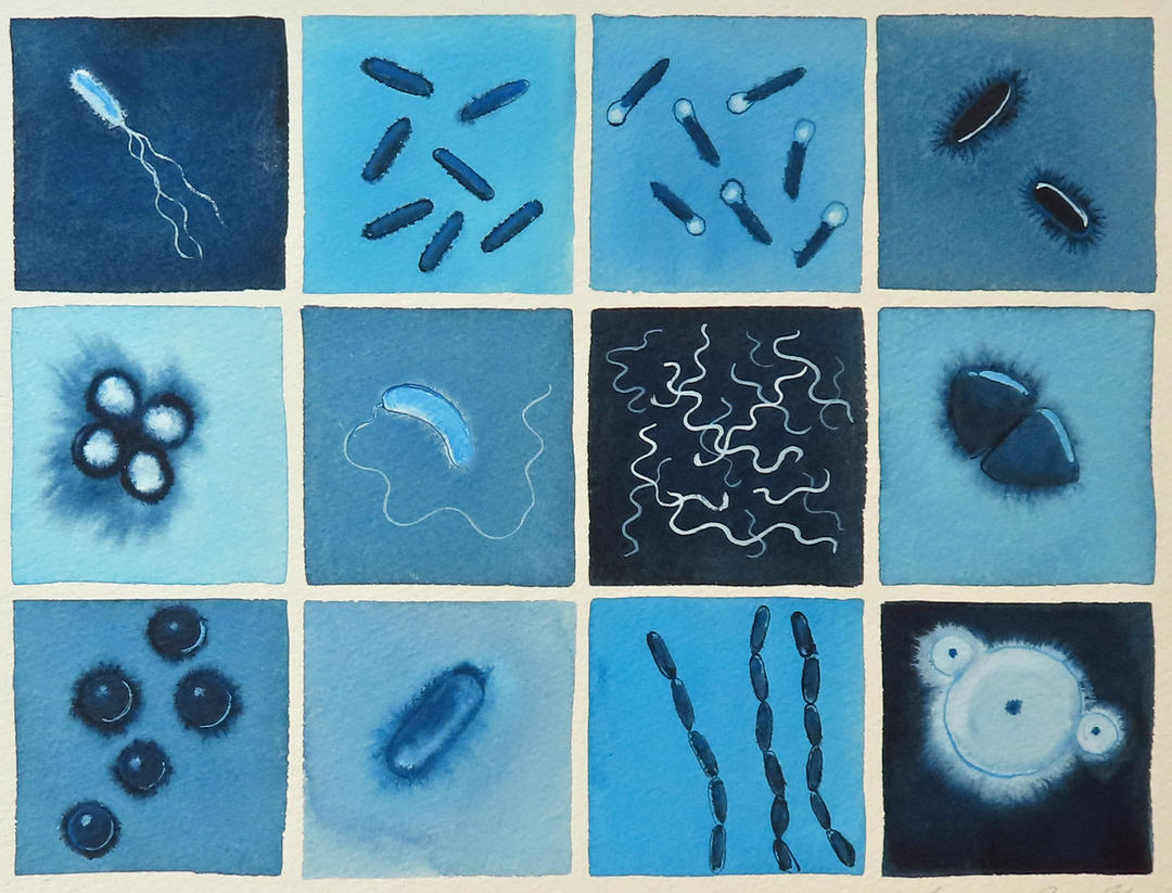Blue Bacteria - original watercolor painting of microbes - microbiology ...