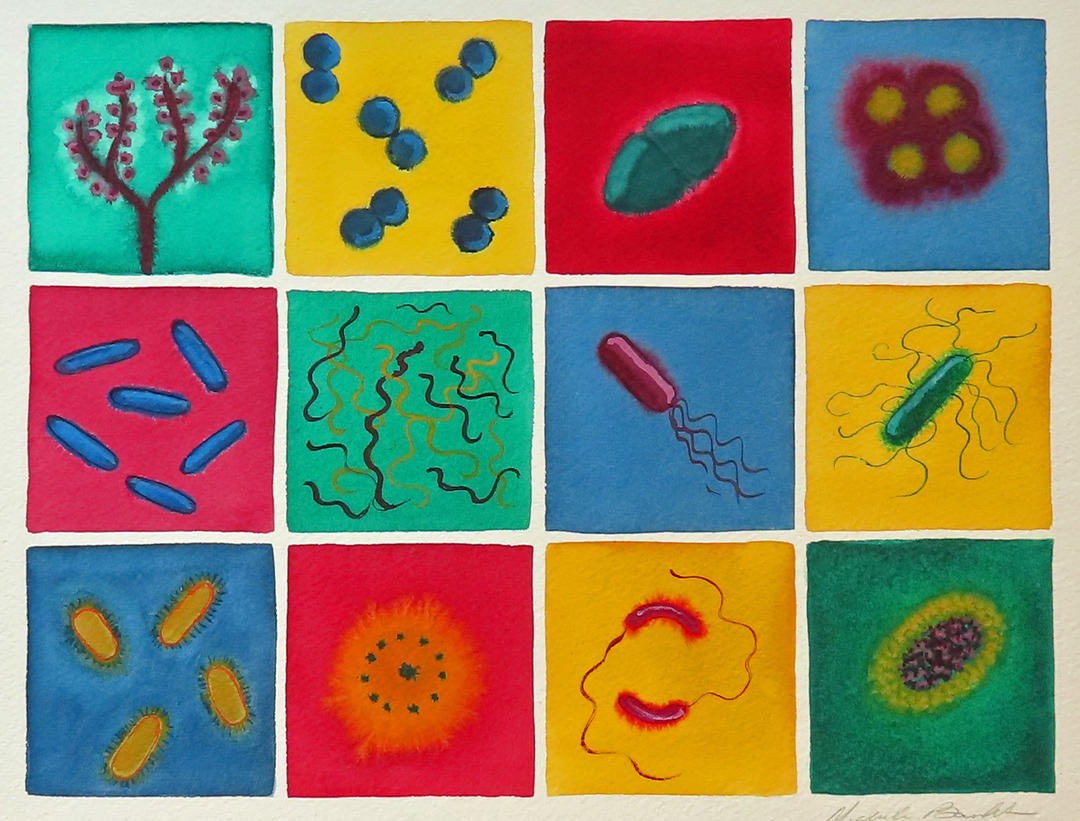 Microbial Riches 2 - original watercolor painting of bacteria ...