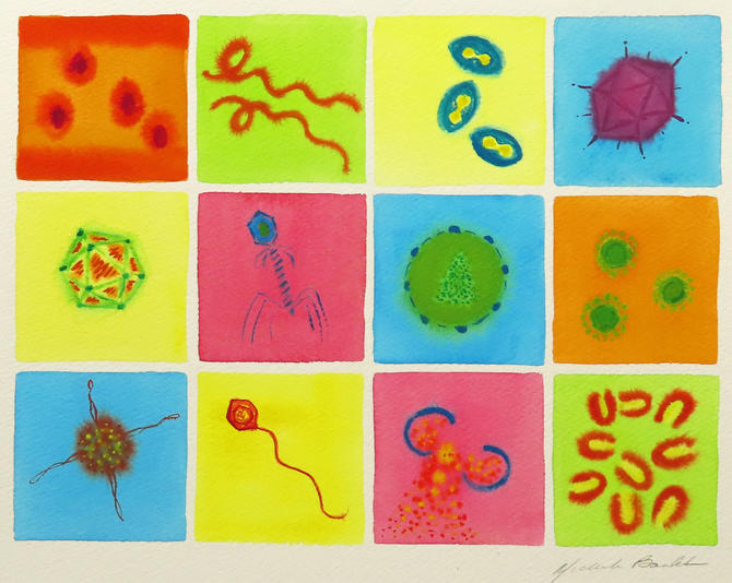 Rainbow of Viruses - original watercolor painting of viruses ...