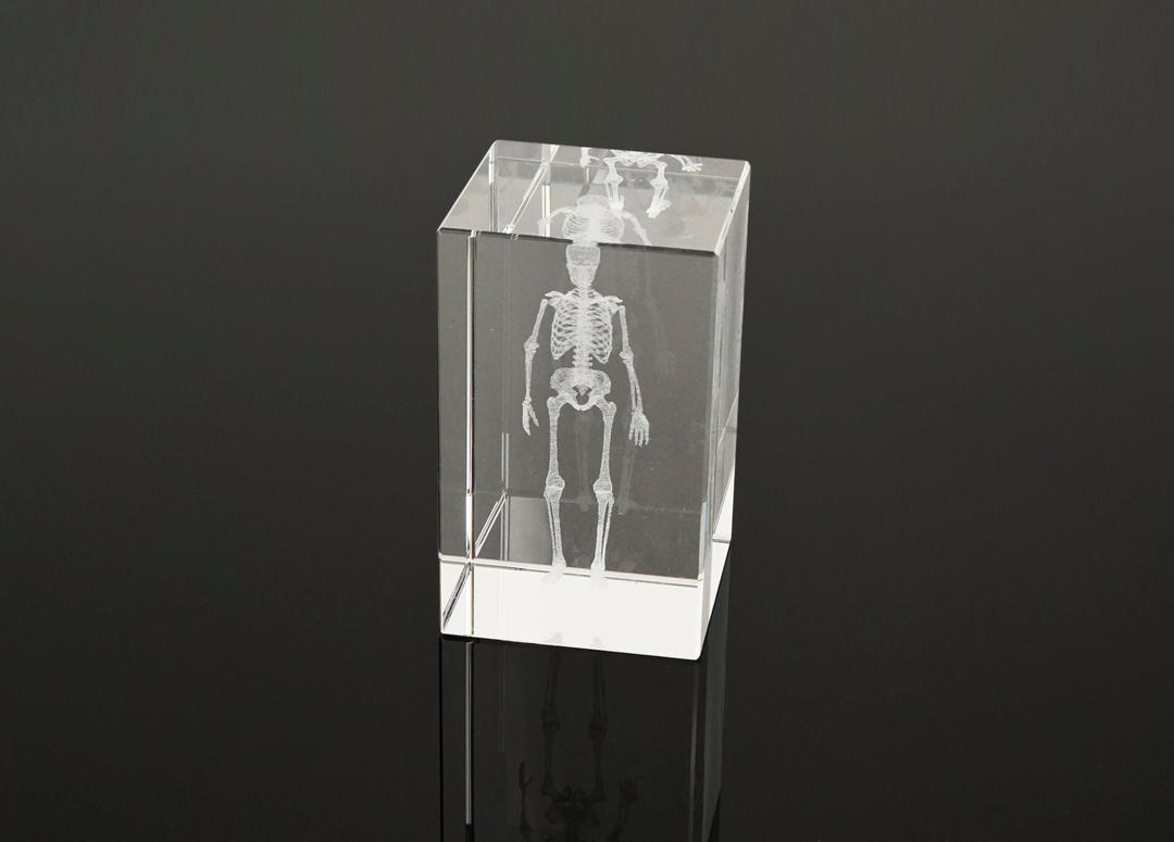 Crystal Glass Human Skeleton 3D Cube Anatomical Model Paperweight ...