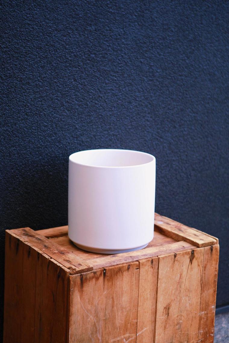 Ceramic Planter | Rewild | Shaw / Georgetown - Washington, DC