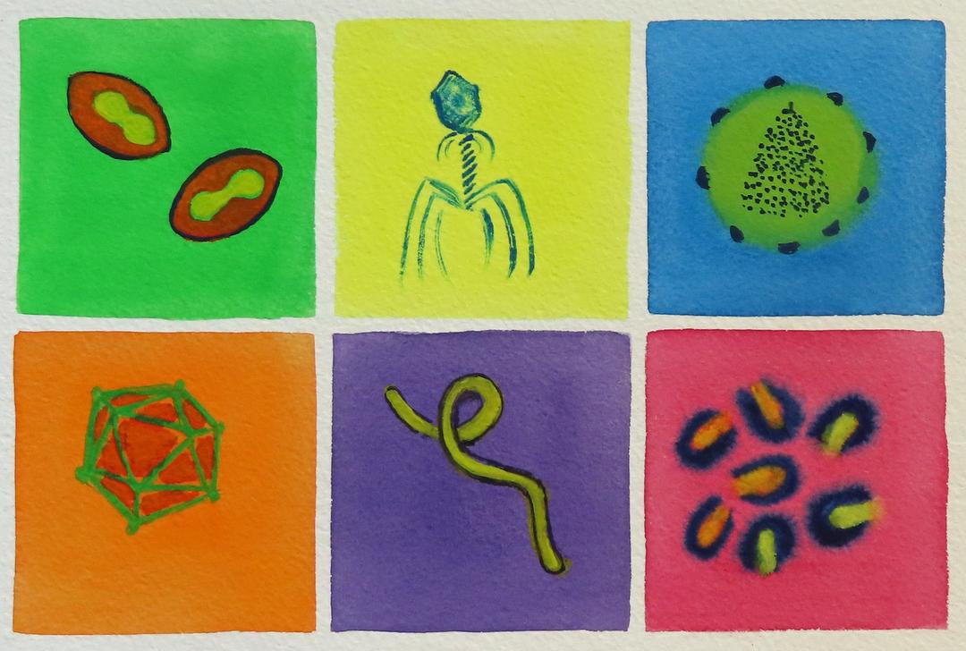 Rainbow of Viruses - original watercolor painting - microbiology art ...
