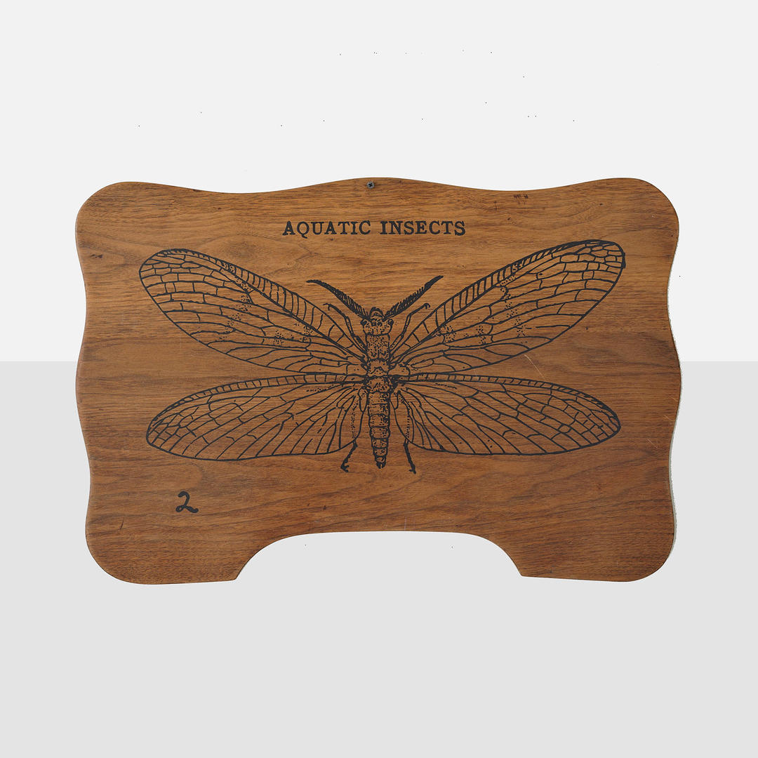 hand drawn insect drawing, original ink insect drawing, insect drawing ...