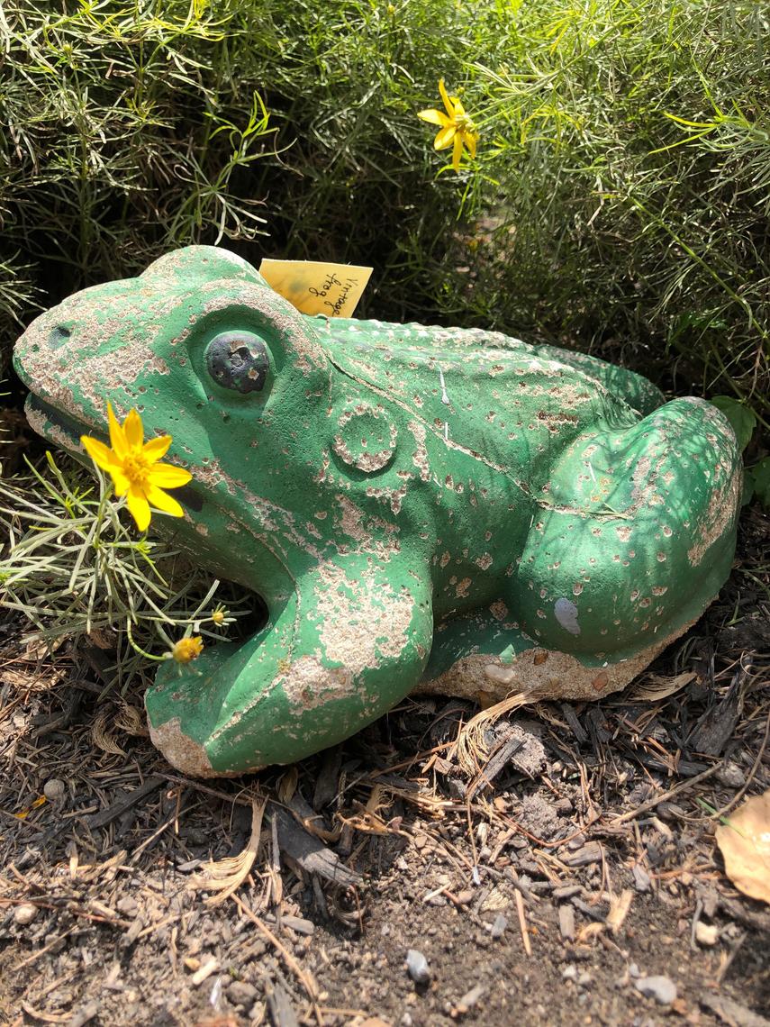Vintage Concrete Frog | Chartreuse & Co. | Frederick, MD