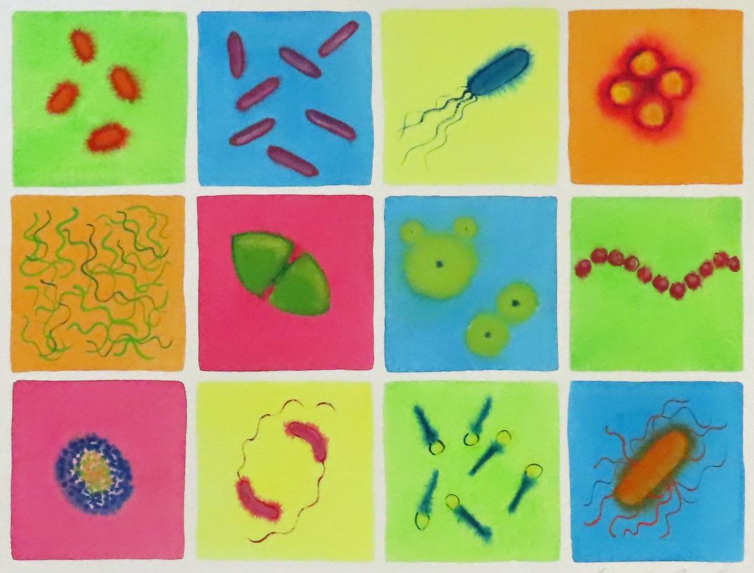 Microbial Rainbow - original watercolor painting of bacteria ...