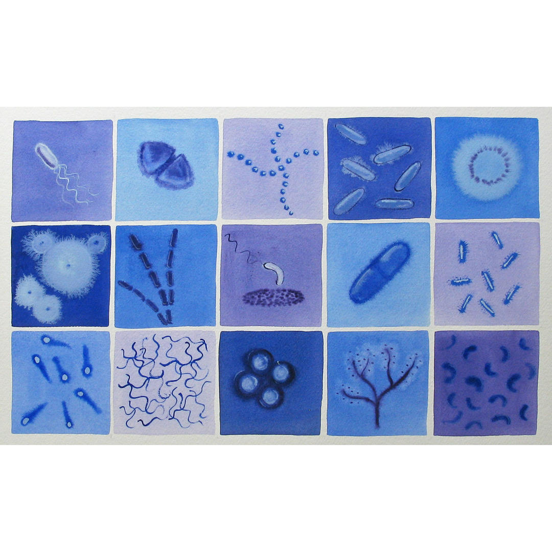 Bacteria in Lavender and Blue- original watercolor painting of microbes ...