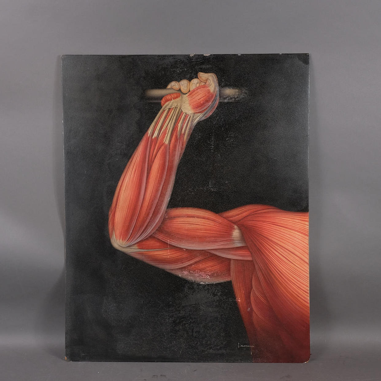 Vintage 1960s Anatomical Painting The Human Body Life | Sevenbc - Kew ...