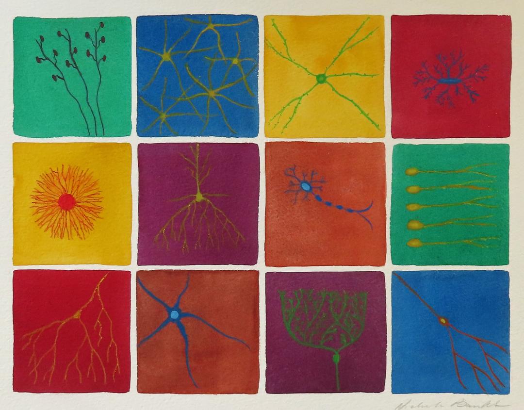 Deep Brain Cells - original watercolor painting of neurons ...