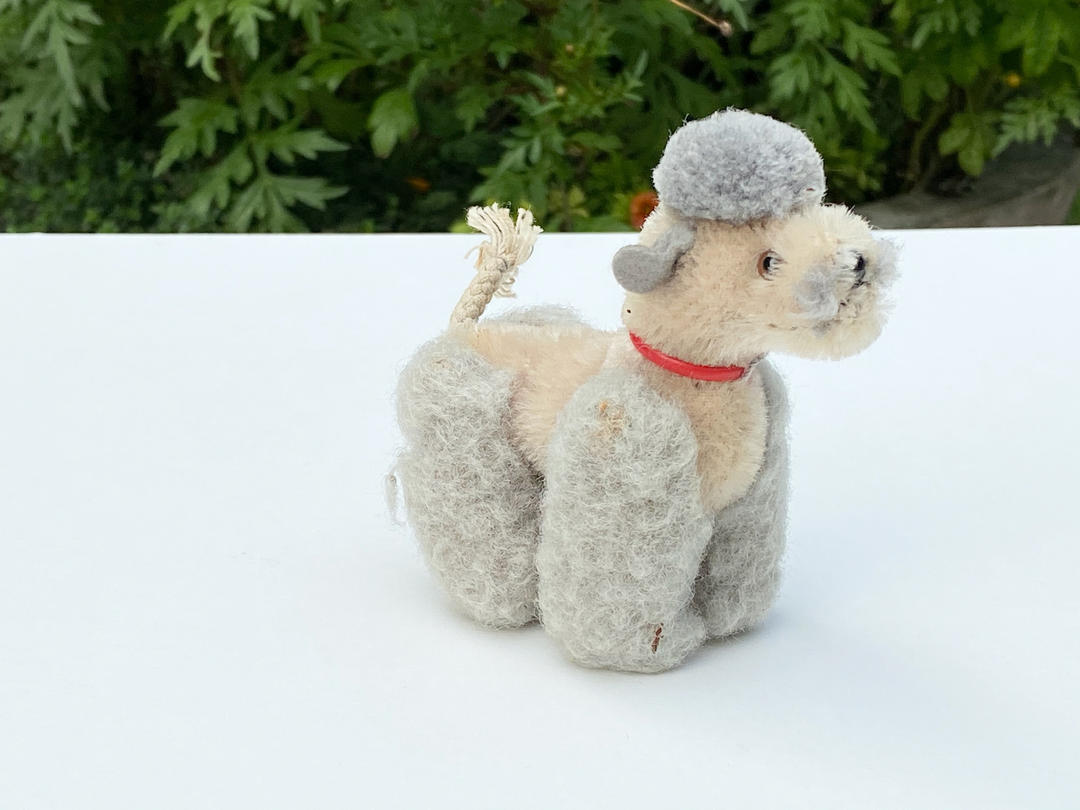 Vintage Steiff Poodle | Walkingtan | Minneapolis, MN