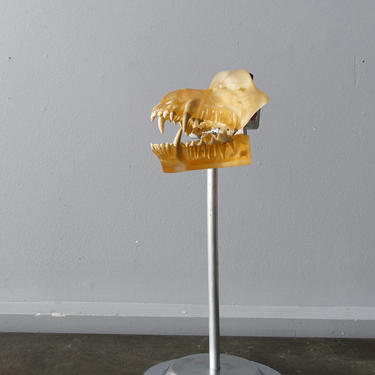 Veterinary Dog Simulator Manikin on Stand | Agent Gallery | Chicago, IL