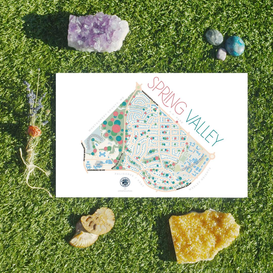 Spring Valley Northwest Washington DC neighborhood map art print 11x17 ...