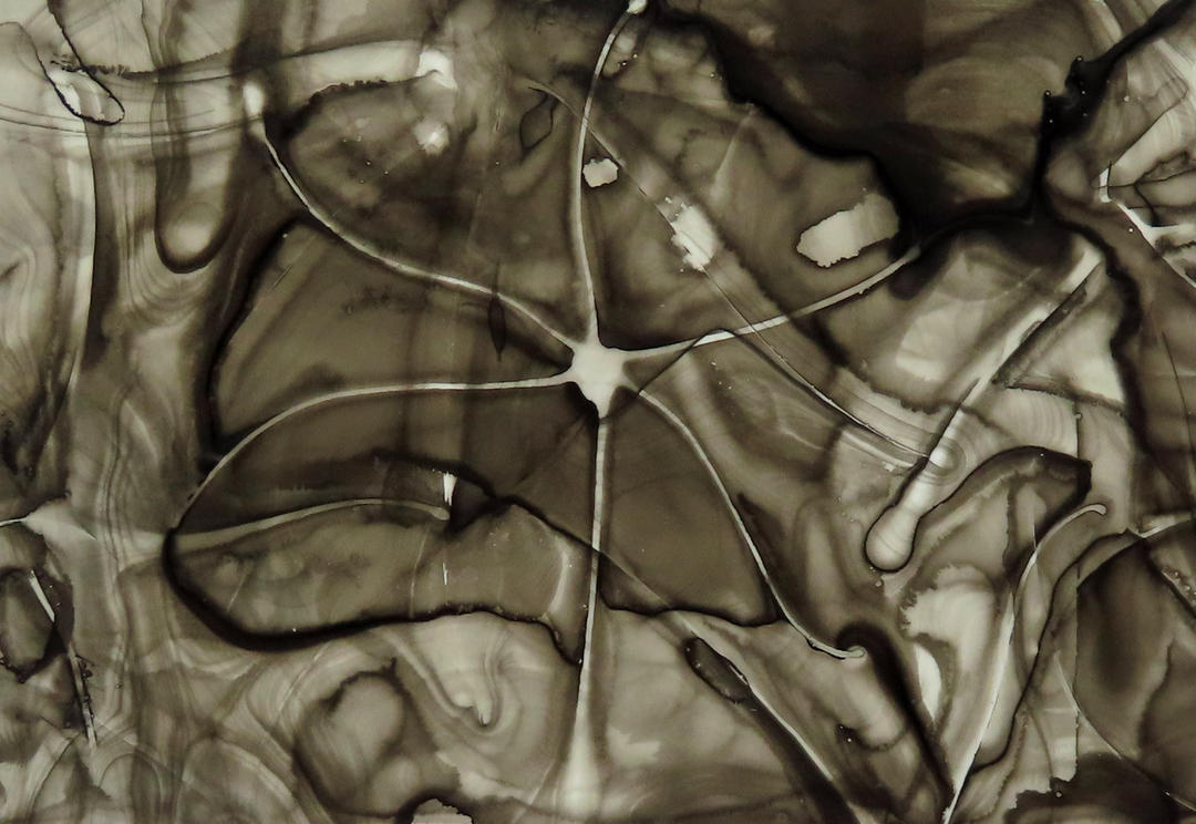 Black Astrocytes - original ink painting of brain cells - | Artologica ...