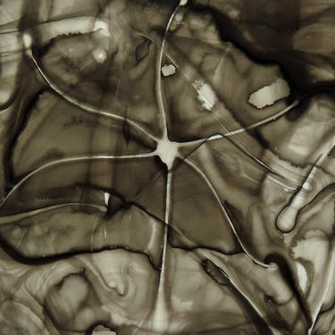 Black Astrocytes - original ink painting of brain cells - | Artologica ...