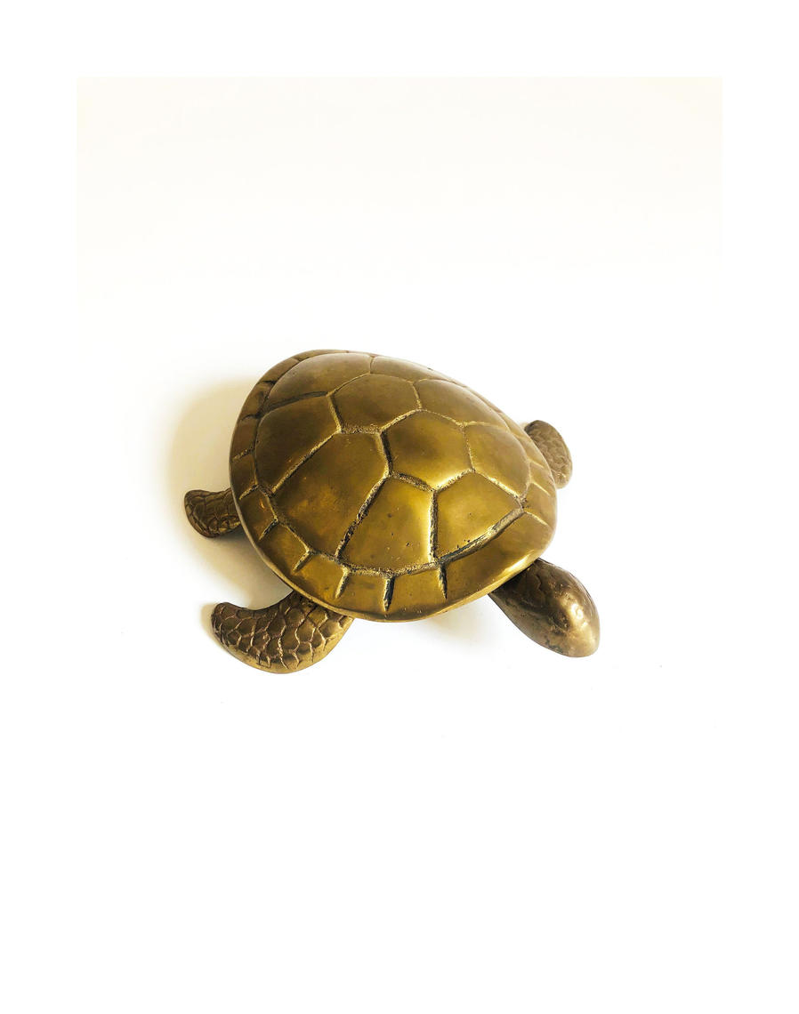 Vintage Brass Sea Turtle Box | Sergeant Sailor | Vallejo, CA