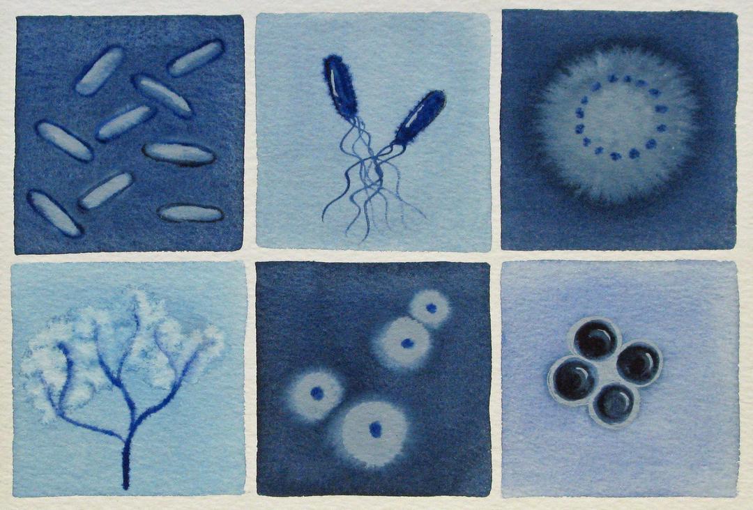 Deep Blue Microbes - original watercolor painting of bacteria ...