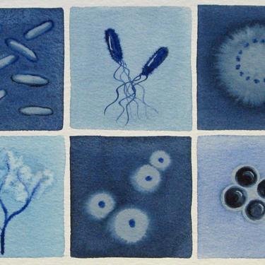 Deep Blue Microbes - original watercolor painting of | Artologica ...