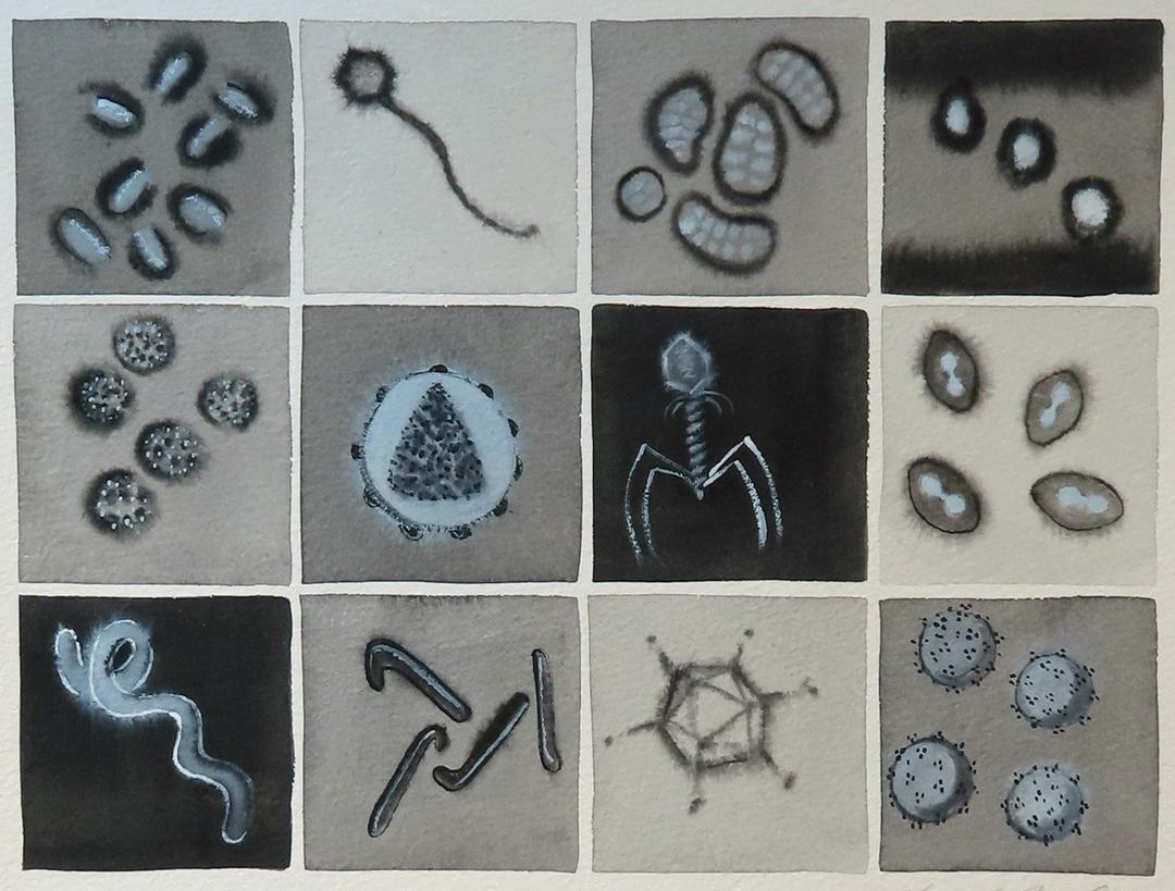 Black and White Viruses - original watercolor painting of viruses ...