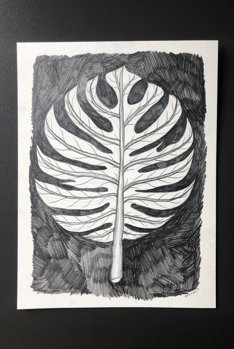 2021 Virtual Workshop: Drawing Techniques using Pencil | Marcella ...